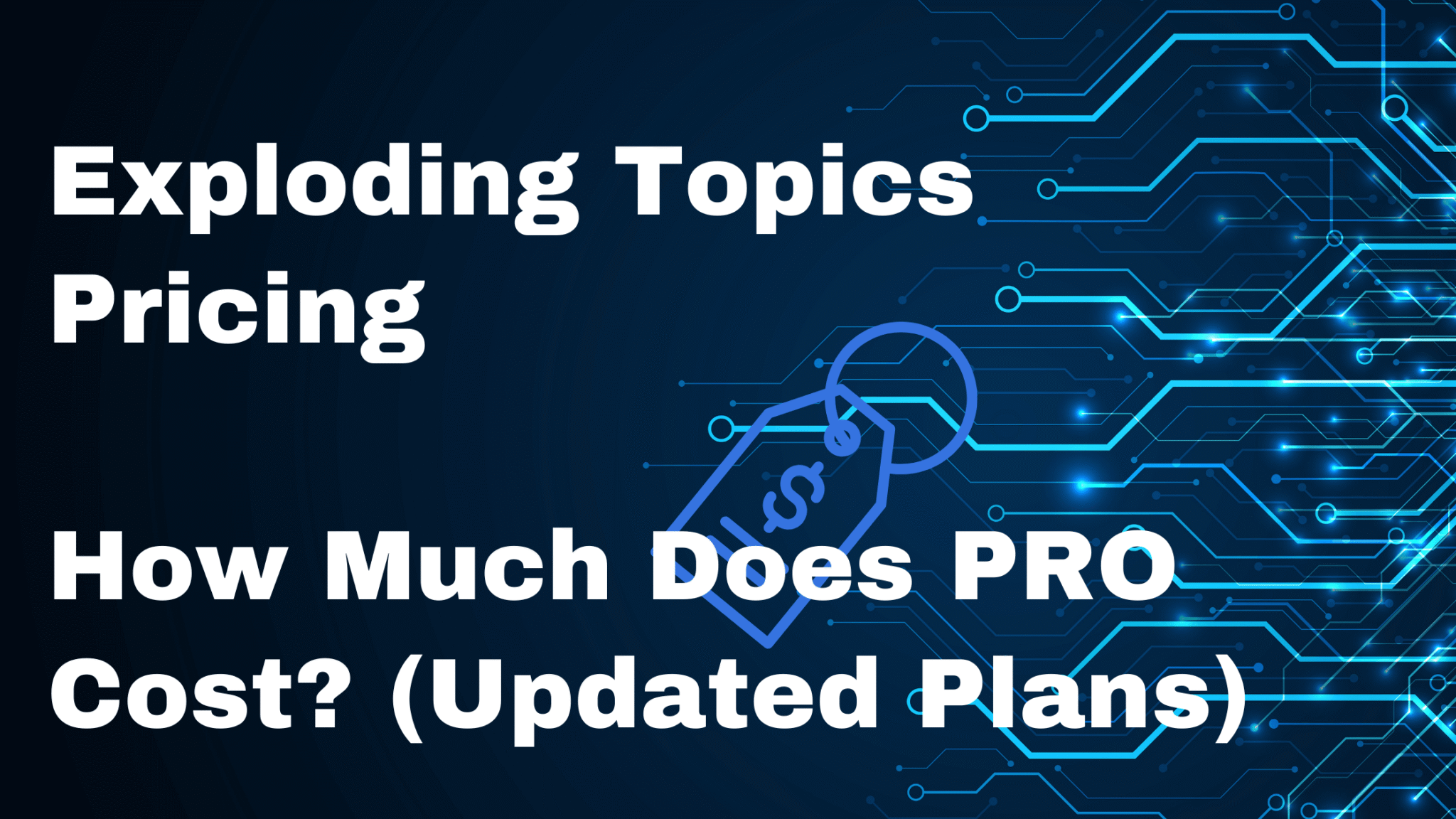 Kalodata Pricing Plans for 2025: How Much Does it Cost?